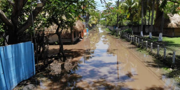 Conred Atiende 124 Incidentes Provocados Por Las Lluvias Agencia