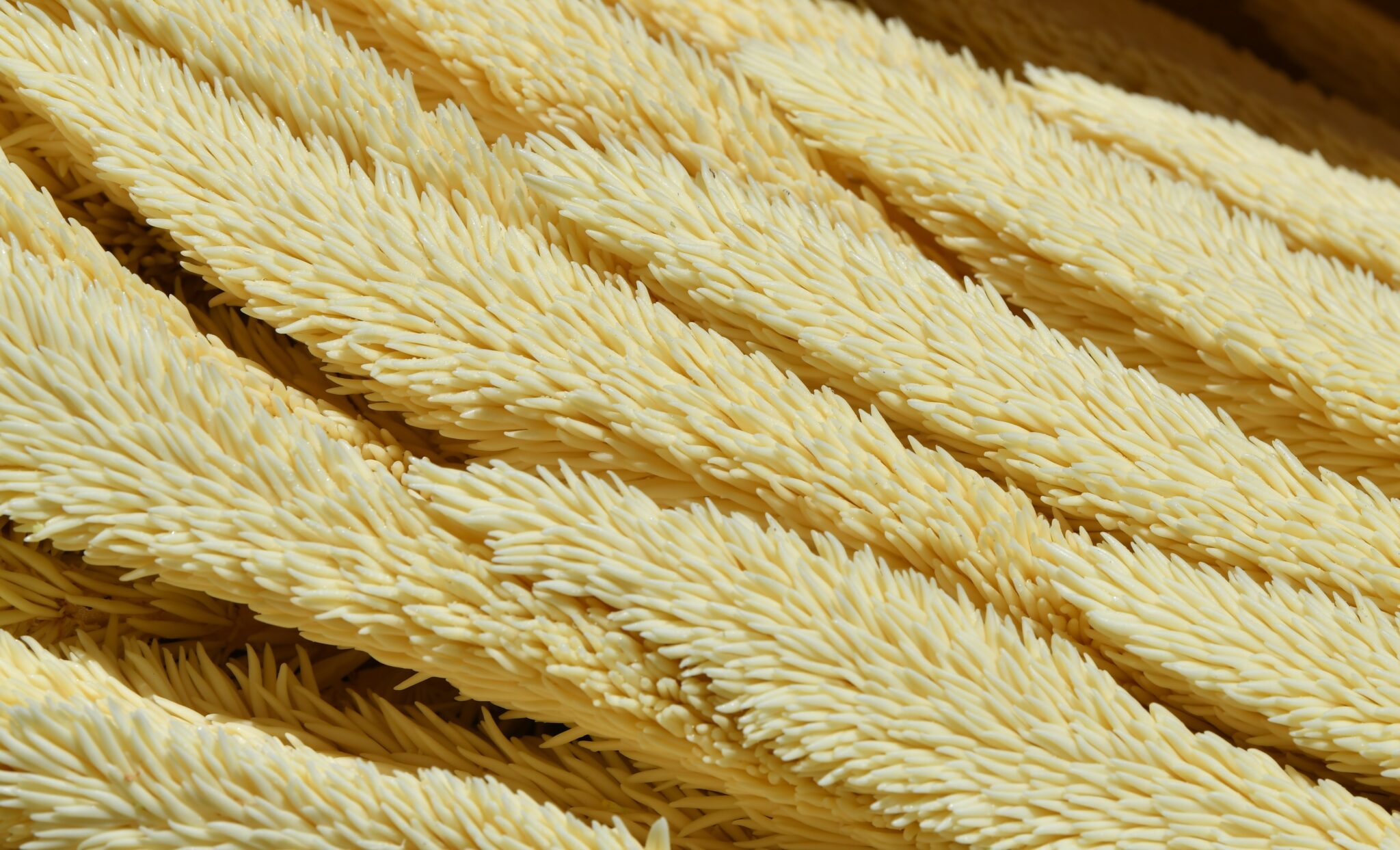 Semana Santa en Guatemala se vive con los cinco sentidos - Agencia ...