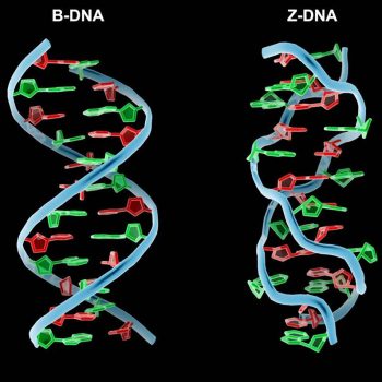 Vumar acelera trámites y agiliza el sistema portuario de Guatemala ...