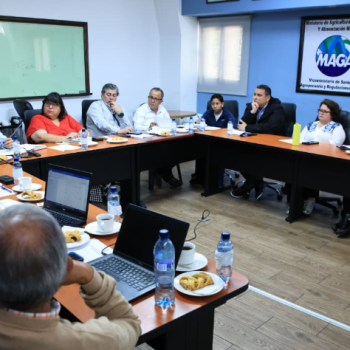 Conozca el mushque, platillo típico de Chiquimulilla - Agencia ...