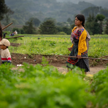 Seccatid cuenta con tratamiento para personas en crisis por adicciones ...