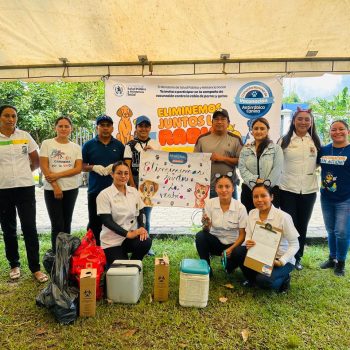 Los zompopos de mayo, héroes invisibles de los bosques - Agencia ...
